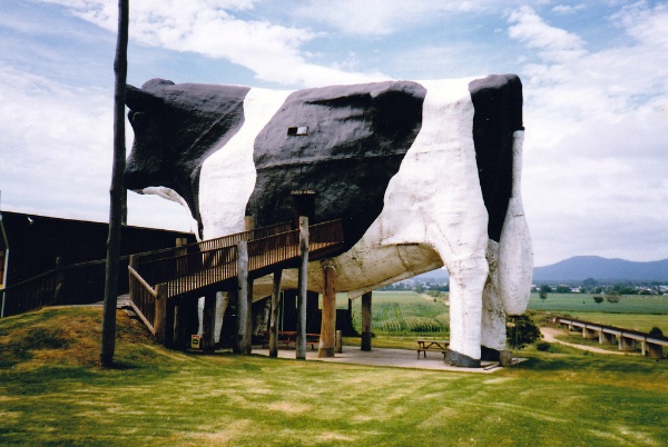 Big Bull, USA | Unusual buildings, Australia history, Unique buildings